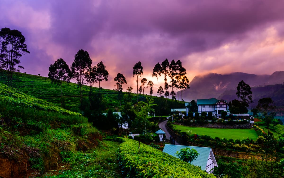 Ceylon Tropical Voyages - Explore the World
